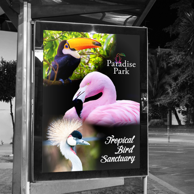 Home [www.georgiaprintco.com]